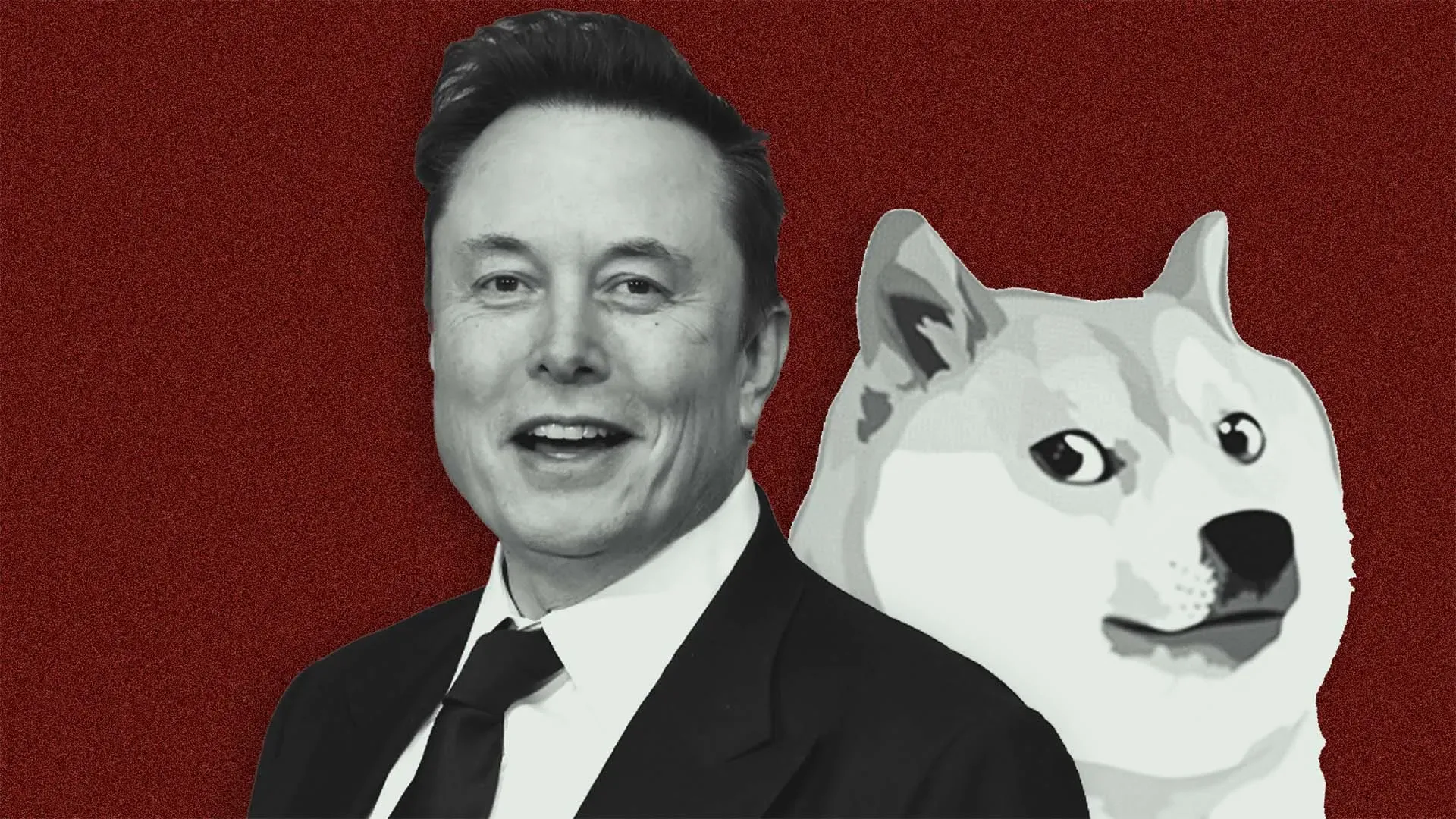 Elon Musk's Dogecoin Allegations: A Trader's Guide to Separating Fact ...
